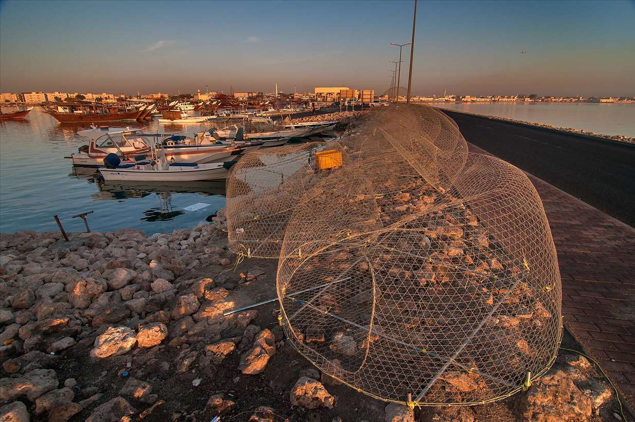 The Art of Gargoor Construction: A Comprehensive Guide to Producing ...