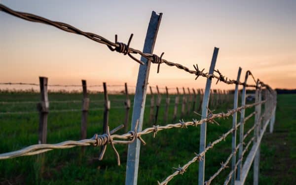 What is Barbed Wire | Types of Barbed Wire, Features, and Applications